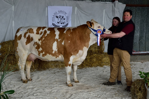 Simmental France | La viande : un vrai atout pour la Simmental | Actualités