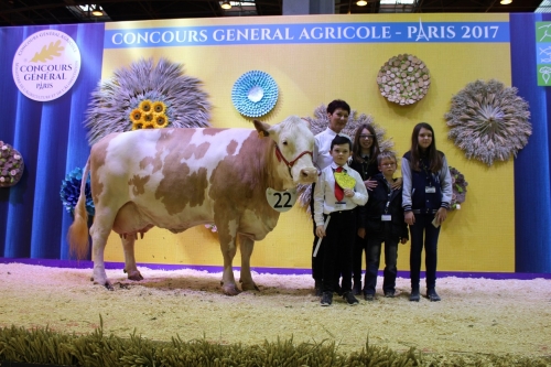 Simmental France - Organisme et entreprise de sélection de la race ...