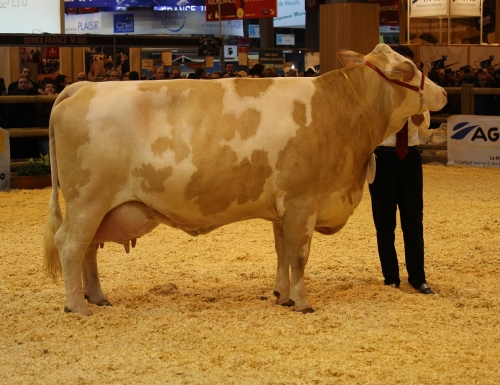 Simmental France - Organisme et entreprise de sélection de la race ...